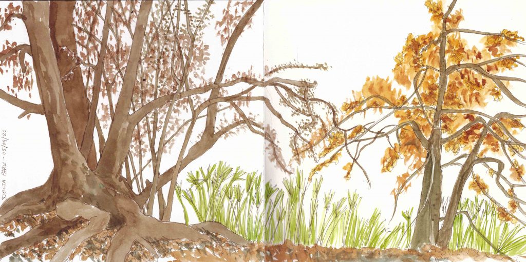 Blog - Leonora Venter Artist